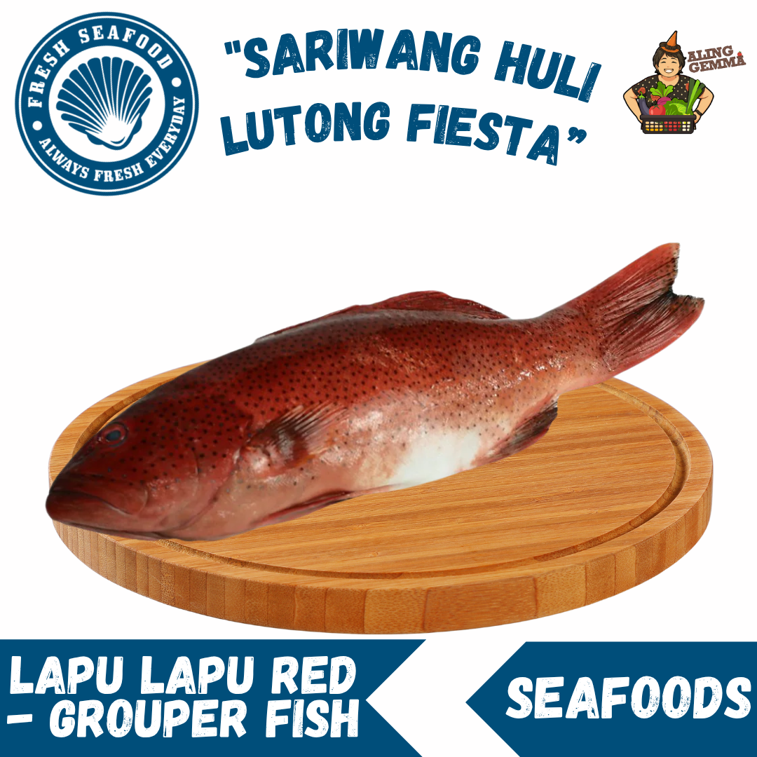 Lapu Lapu Red - Grouper Fish – Aling Gemma Online Palengke