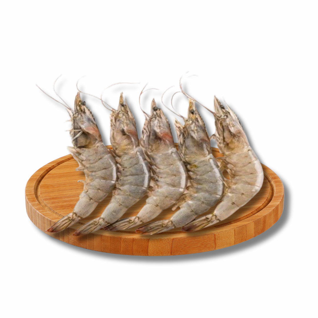 Hipon - Shrimp (Medium) – Aling Gemma Online Palengke