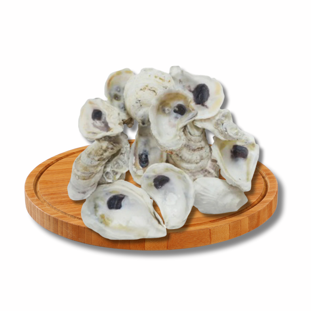 Talaba with shell – Aling Gemma Online Palengke