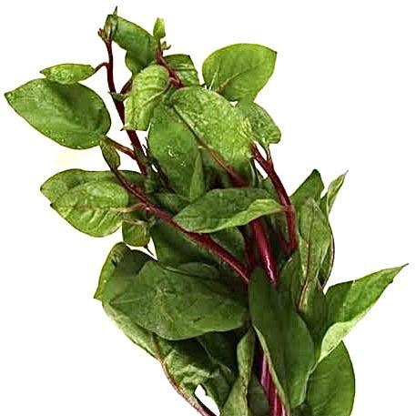 Alugbati (per tali) – Aling Gemma Online Palengke - Paco Market