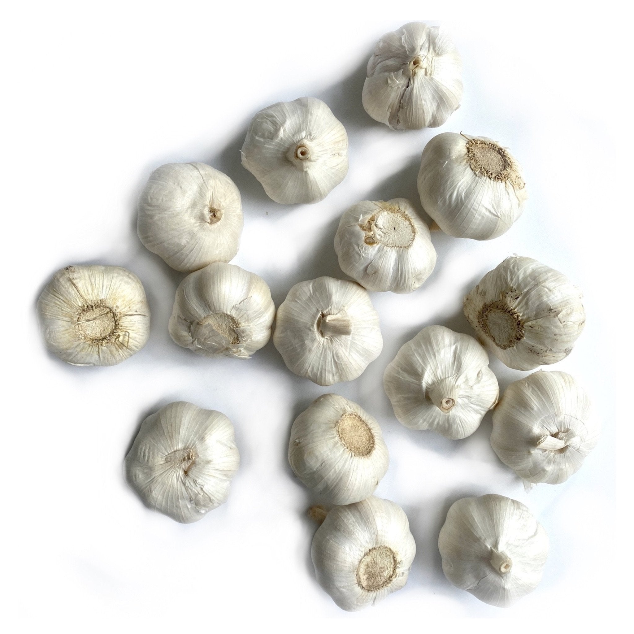 Bawang - Garlic – Aling Gemma Online Palengke - Paco Market