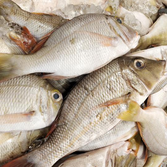 Bitilya – Aling Gemma Online Palengke - Paco Market