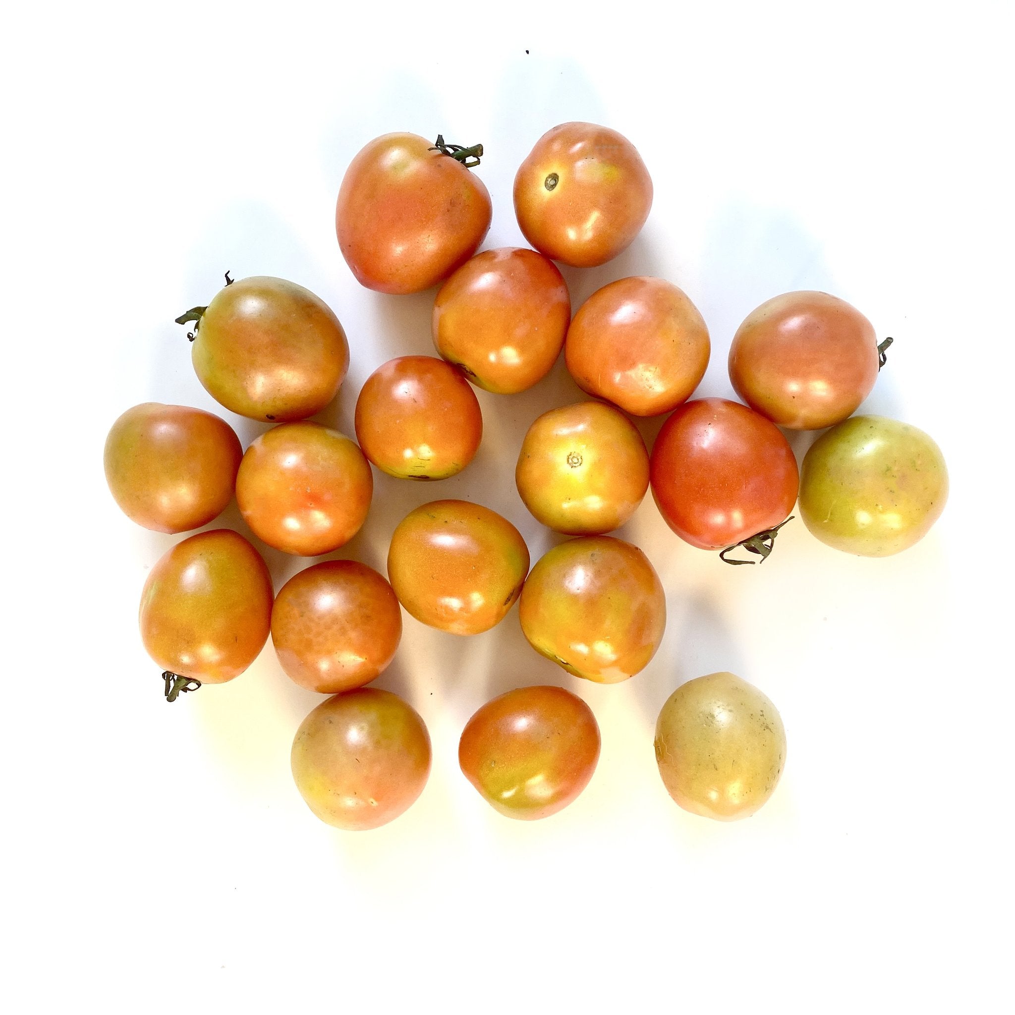 Kamatis – Aling Gemma Online Palengke - Paco Market