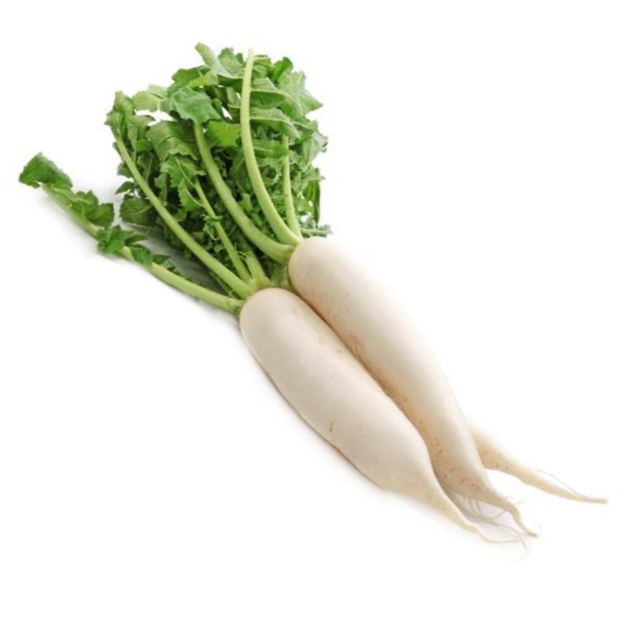 Labanos – Aling Gemma Online Palengke - Paco Market