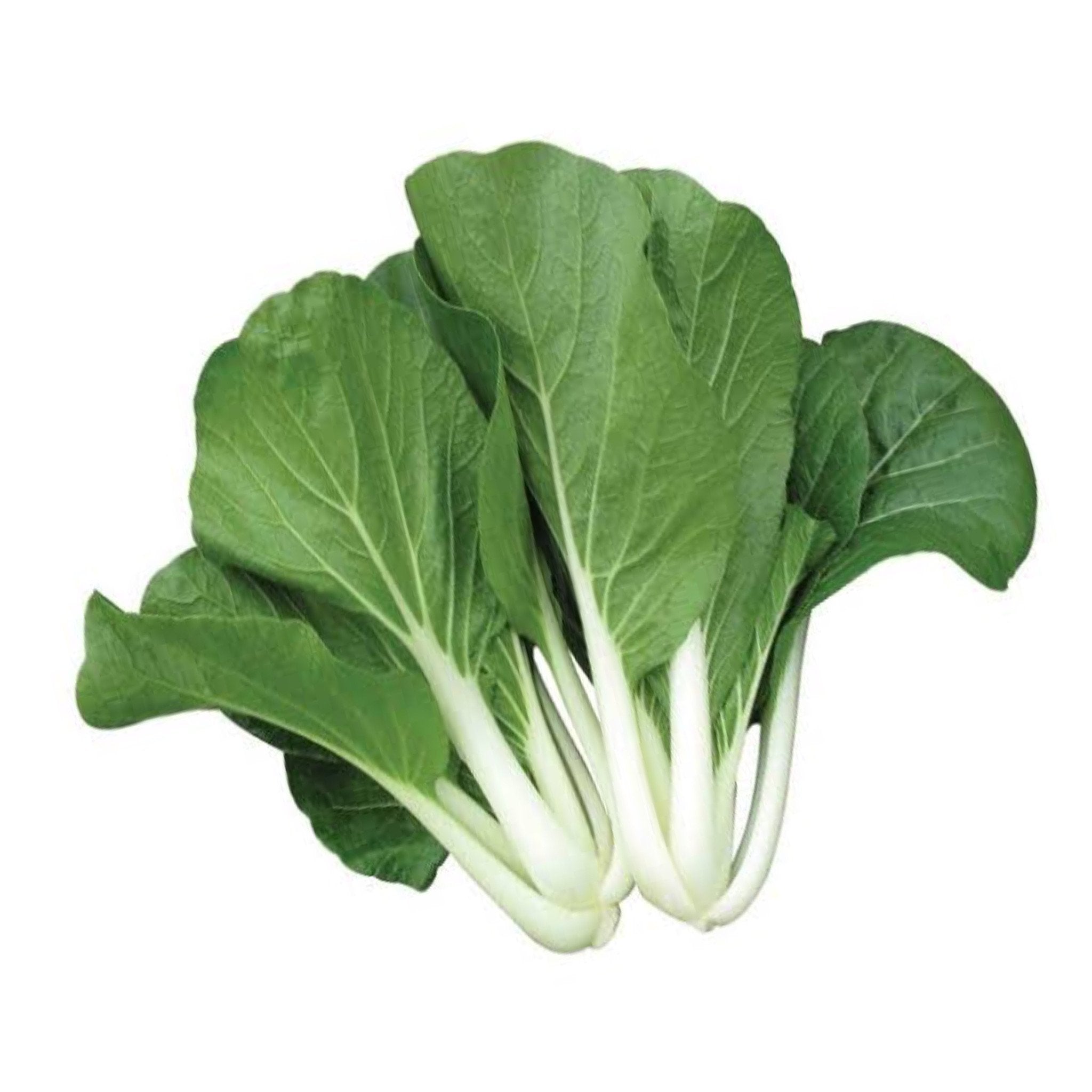 Pechay Tagalog – Aling Gemma Online Palengke - Paco Market