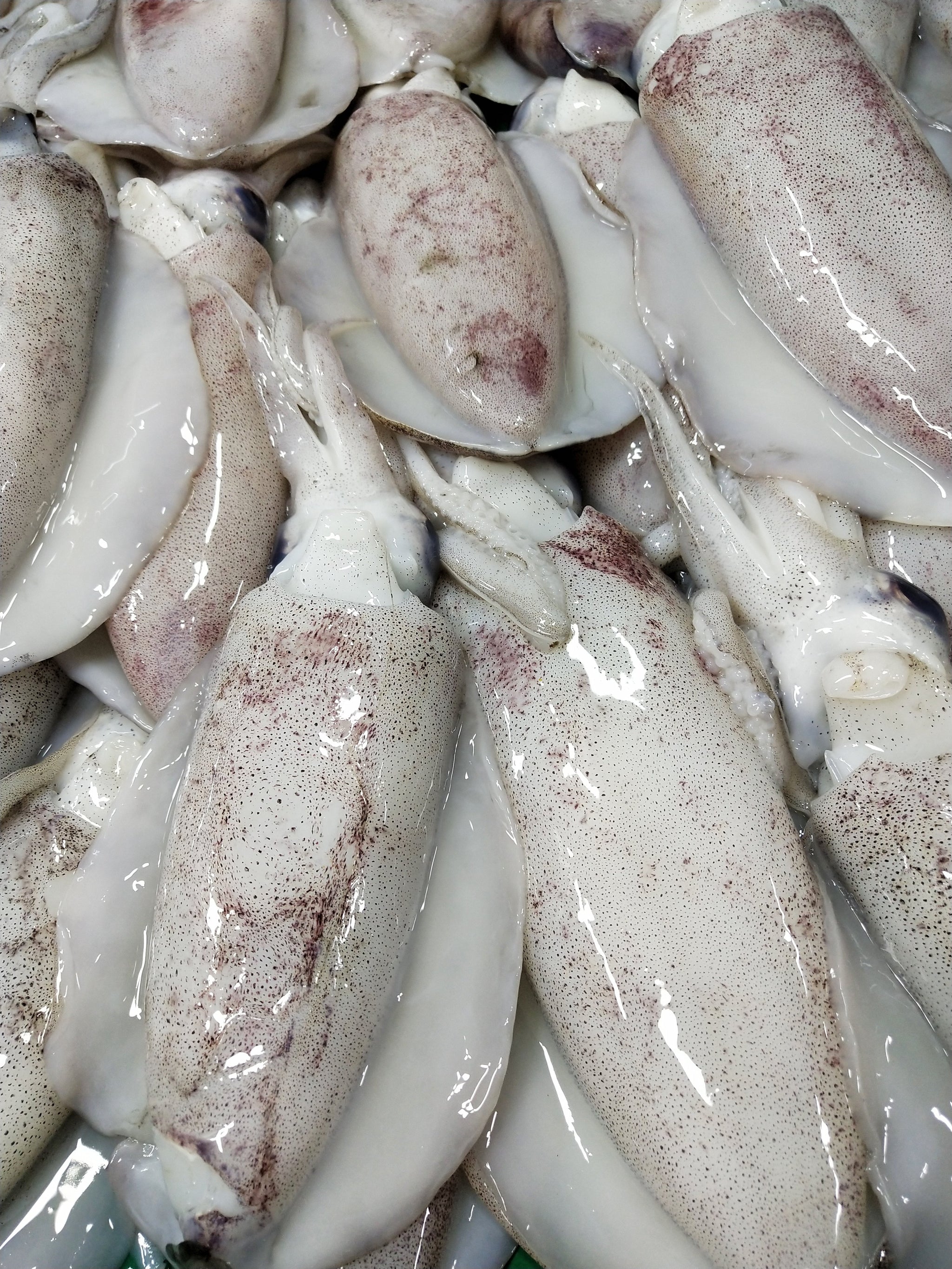 Pusit Lumot – Aling Gemma Online Palengke - Paco Market