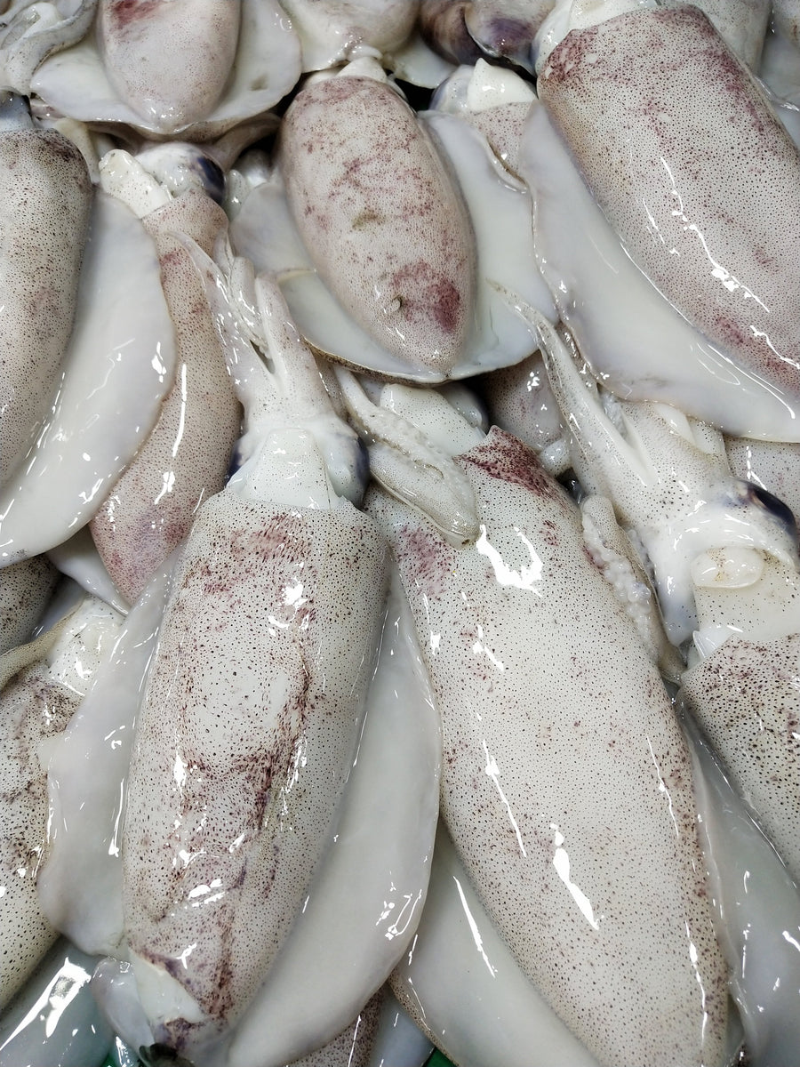 Pusit Lumot – Aling Gemma Online Palengke - Paco Market