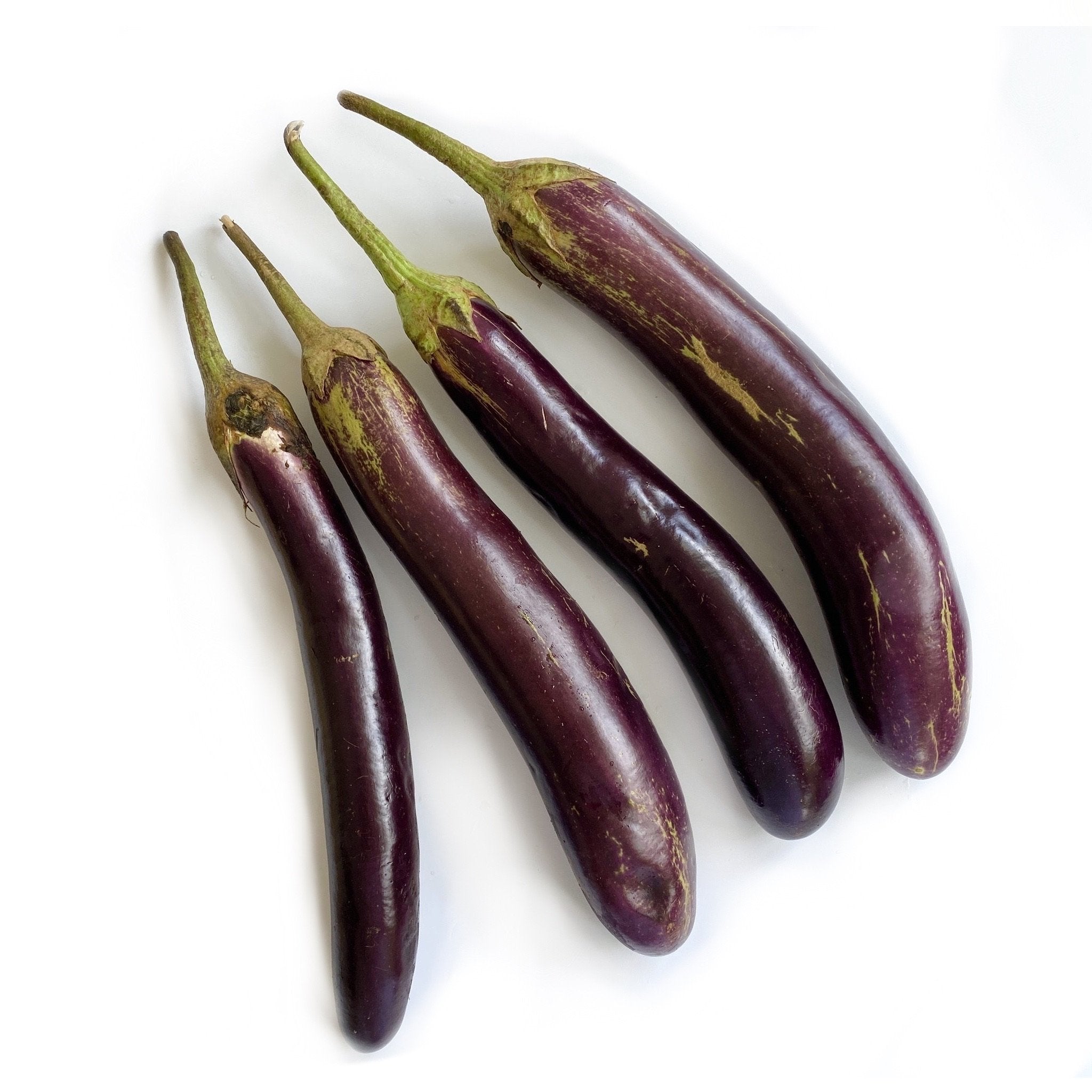 Talong – Aling Gemma Online Palengke - Paco Market