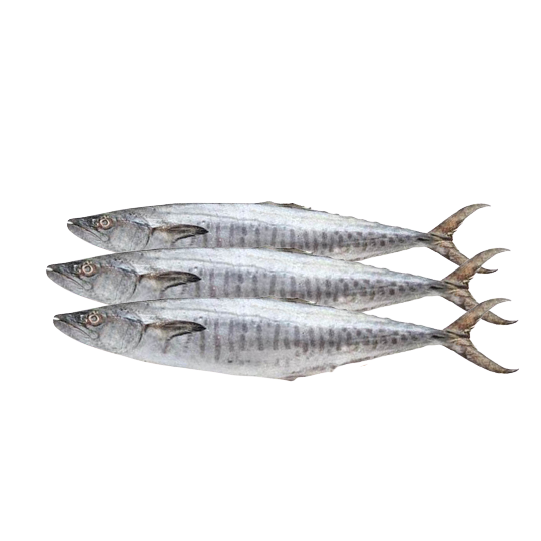 Tanigue – Aling Gemma Online Palengke - Paco Market