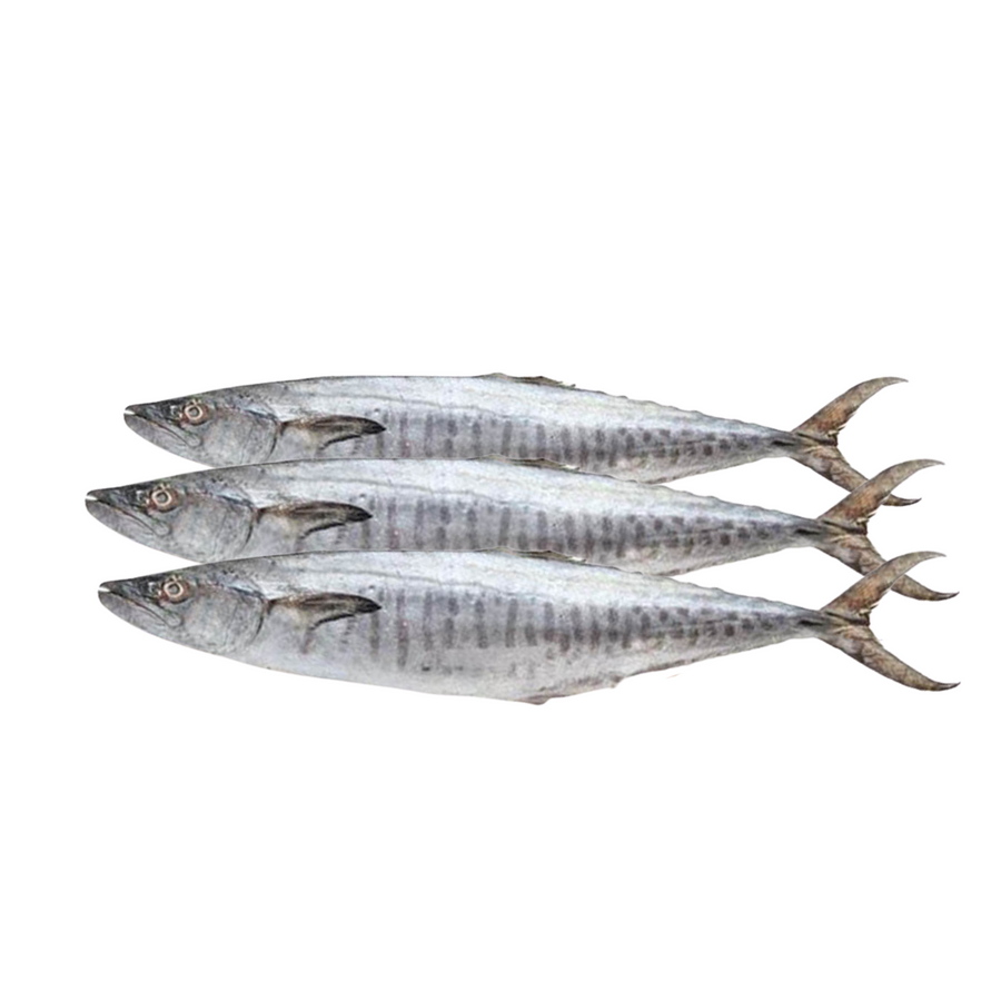 Tanigue – Aling Gemma Online Palengke - Paco Market